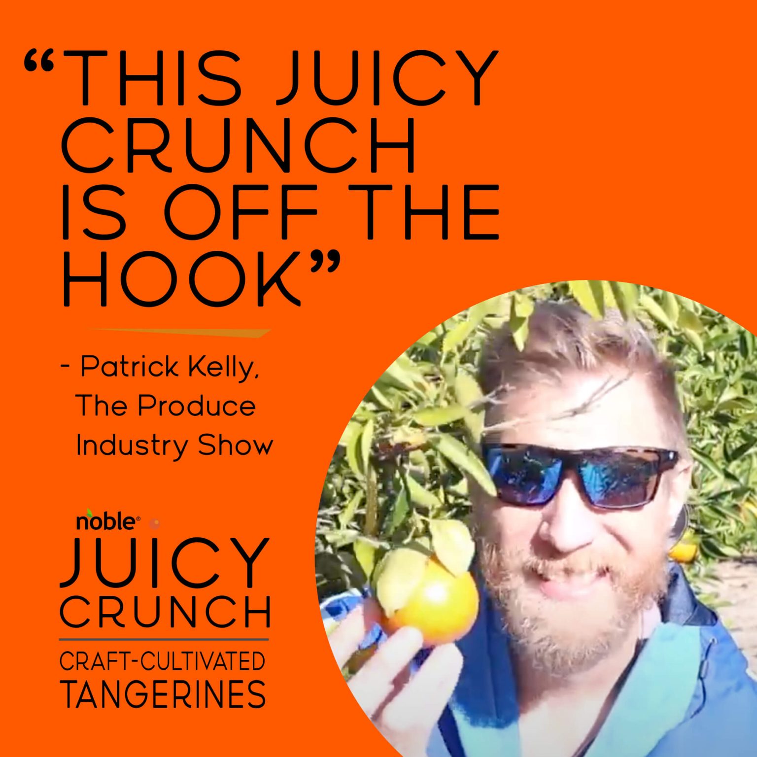 Juicy Crunch® Tangerines - Noble Citrus