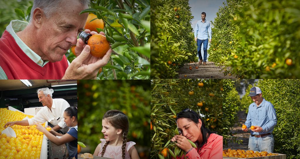 Fresh Juicing Program - Noble Citrus