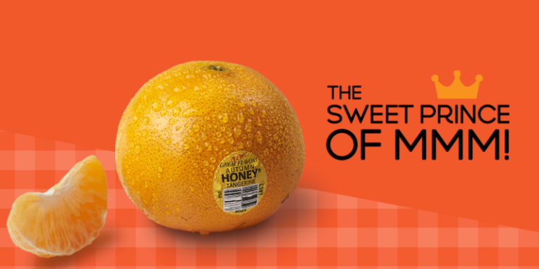 Autumn Honey Tangerines - Noble Citrus