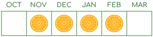 Tangerines - Noble Citrus