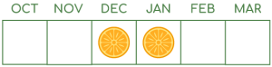 Tangerines - Noble Citrus