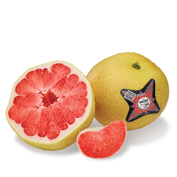 Noble Citrus